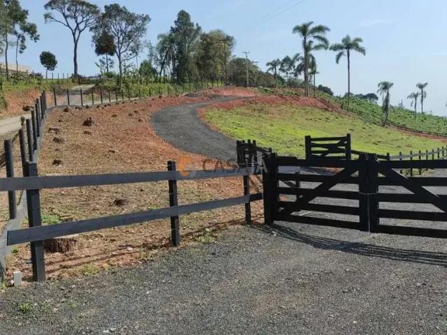 Terreno / Lote para Venda em Campo Largo/PR Itaqui de Cima