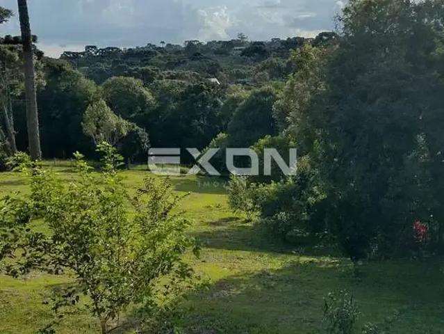 Terreno / Lote para Venda em Campo Largo/PR Itaqui de Cima 3 Quartos
