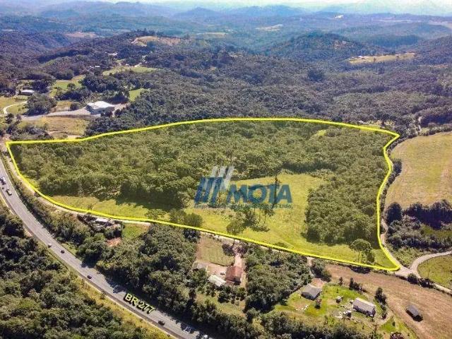 Terreno / Lote para Venda em Campo Largo/PR Jardim Bela Vista