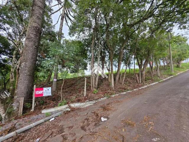 Terreno / Lote para Venda em Campo Largo/PR Jardim Boa Vista
