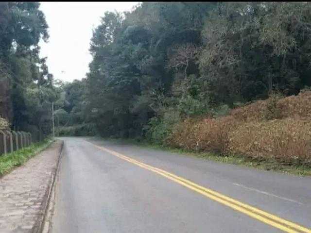 Terreno / Lote para Venda em Campo Largo/PR Jardim Busmayer