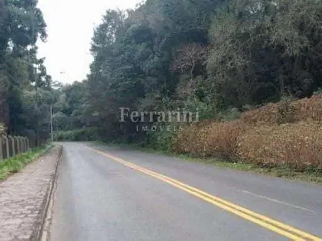 Terreno / Lote para Venda em Campo Largo/PR Jardim Busmayer