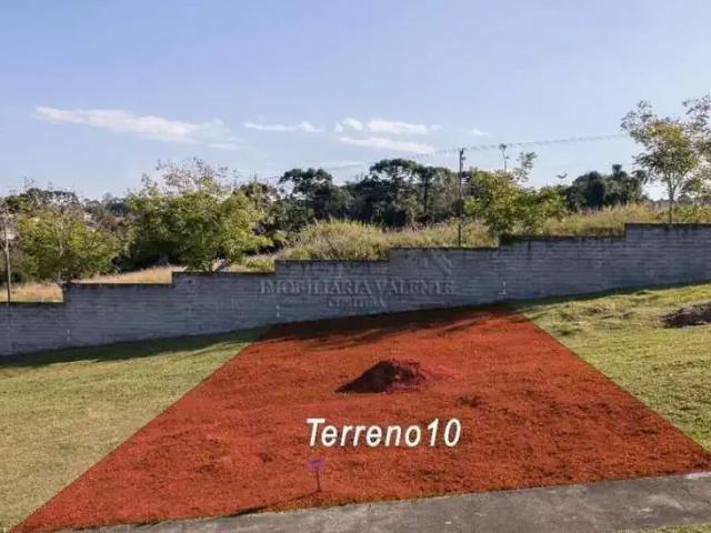 Terreno / Lote para Venda em Campo Largo/PR Jardim das Américas