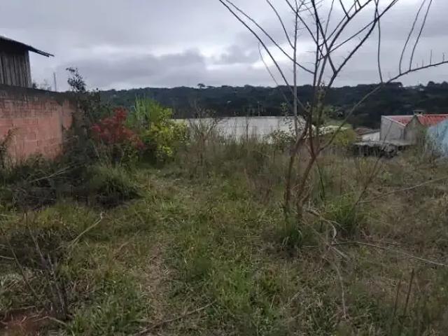 Terreno / Lote para Venda em Campo Largo/PR Jardim das Acácias