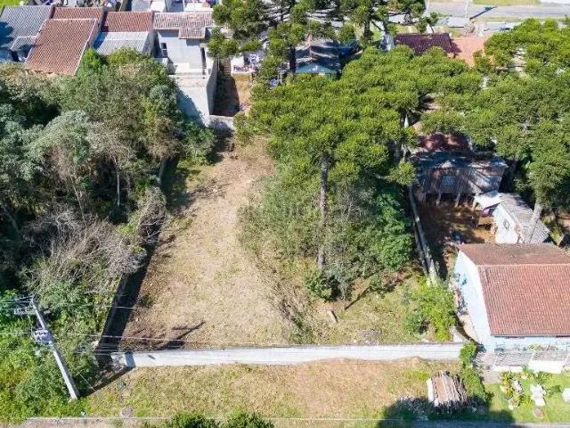 Terreno / Lote para Venda em Campo Largo/PR Jardim das Acácias
