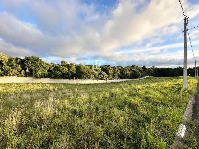 Terreno / Lote para Venda em Campo Largo/PR Jardim Florestal