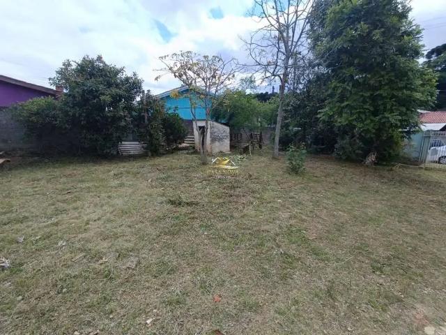 Terreno / Lote para Venda em Campo Largo/PR Jardim Florestal