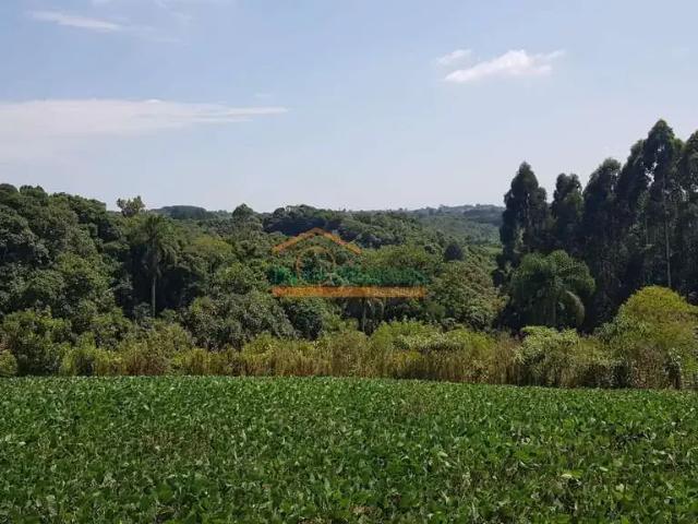 Terreno / Lote para Venda em Campo Largo/PR Jardim Florestal