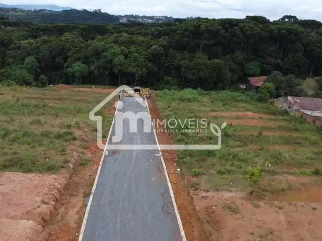 Terreno / Lote para Venda em Campo Largo/PR Jardim Florestal
