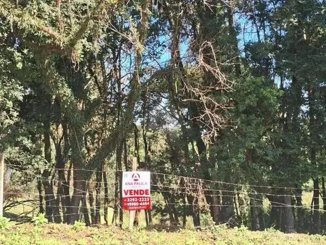 Terreno / Lote para Venda em Campo Largo/PR Jardim Florestal
