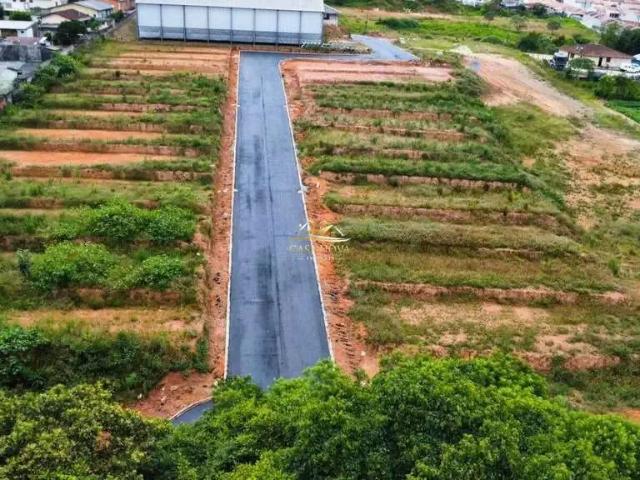 Terreno / Lote para Venda em Campo Largo/PR Jardim Florestal