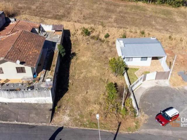 Terreno / Lote para Venda em Campo Largo/PR Jardim Itália