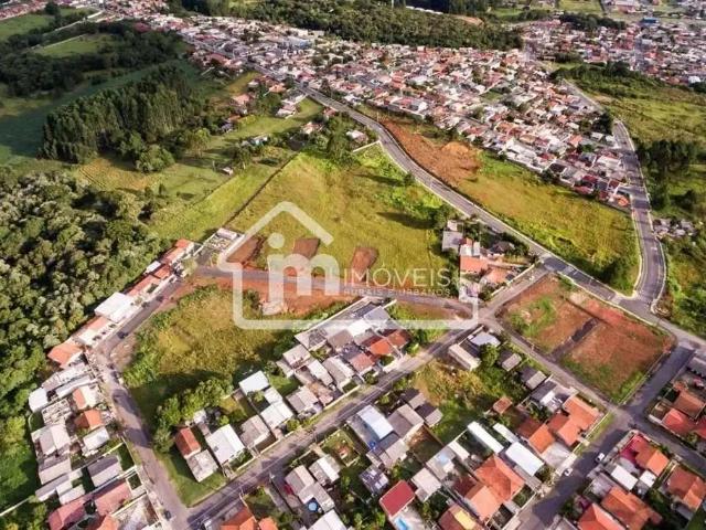 Terreno / Lote para Venda em Campo Largo/PR Jardim Lise