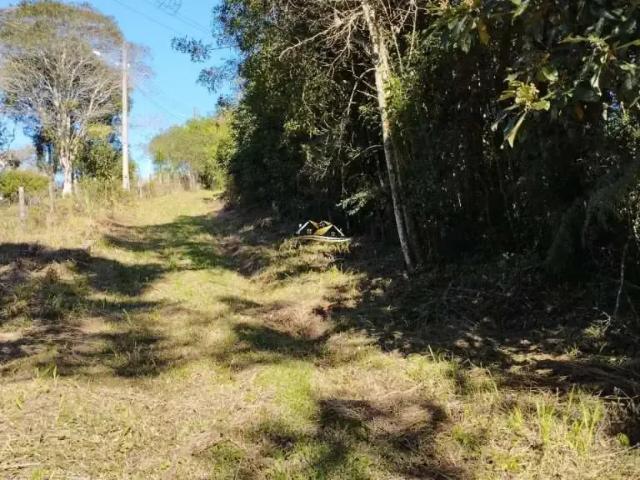 Terreno / Lote para Venda em Campo Largo/PR Jardim São Vicente