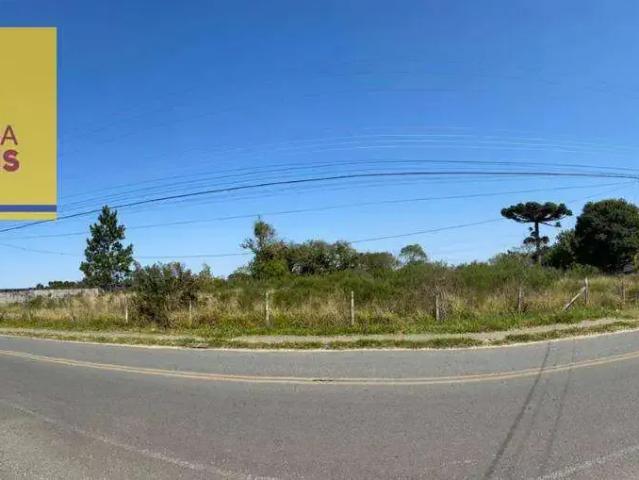 Terreno / Lote para Venda em Campo Largo/PR Jardim Social