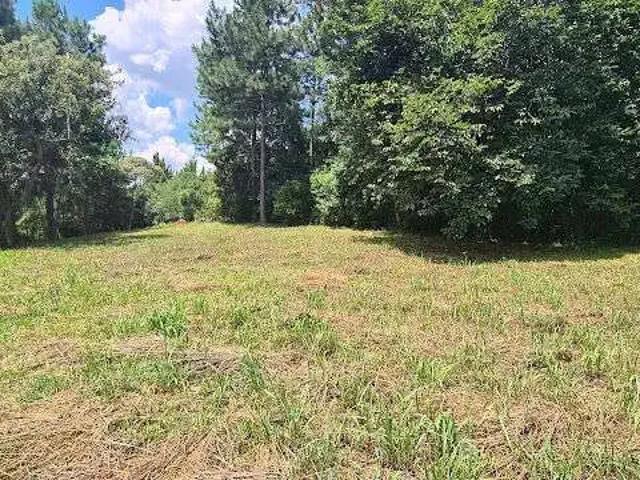 Terreno / Lote para Venda em Campo Largo/PR Jardim Social