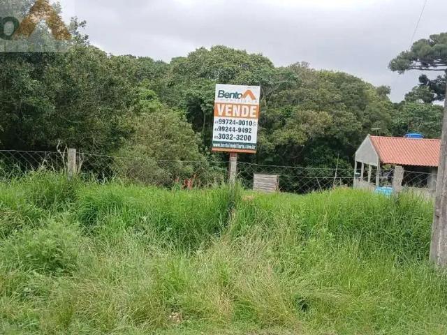 Terreno / Lote para Venda em Campo Largo/PR Loteamento Bieda