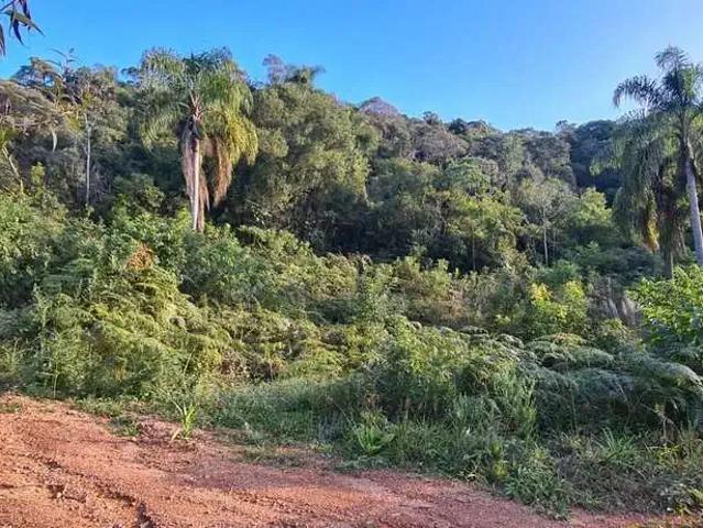 Terreno / Lote para Venda em Campo Largo/PR Loteamento Itaboa