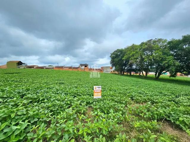 Terreno / Lote para Venda em Campo Largo/PR Loteamento Itaboa
