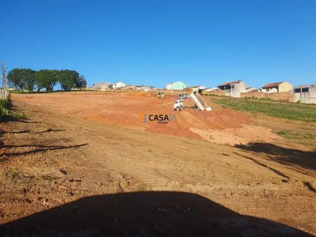 Terreno / Lote para Venda em Campo Largo/PR Loteamento Itaboa