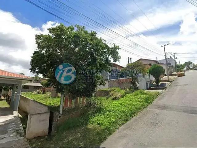 Terreno / Lote para Venda em Campo Largo/PR Loteamento Miranda