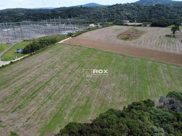 Terreno / Lote para Venda em Campo Largo/PR Salgadinho