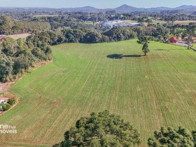 Terreno / Lote para Venda em Campo Largo/PR Salgadinho