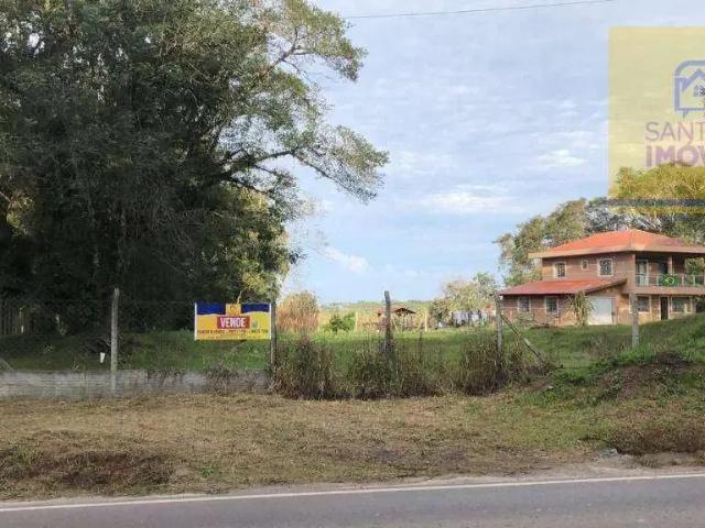 Terreno / Lote para Venda em Campo Largo/PR Salgadinho