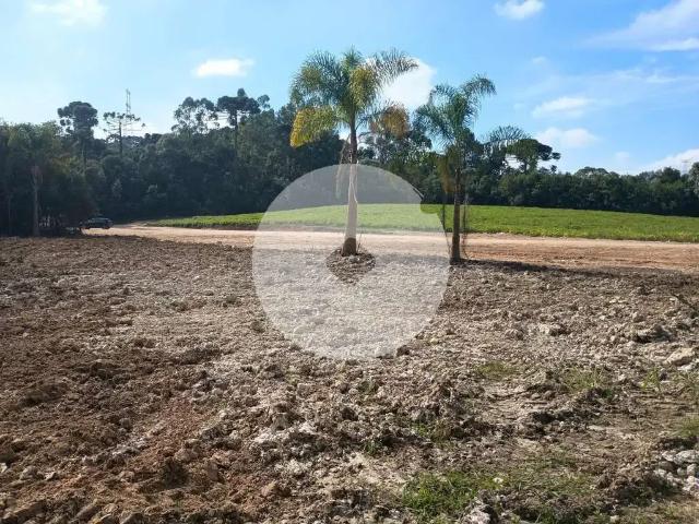 Terreno / Lote para Venda em Campo Largo/PR Salgadinho