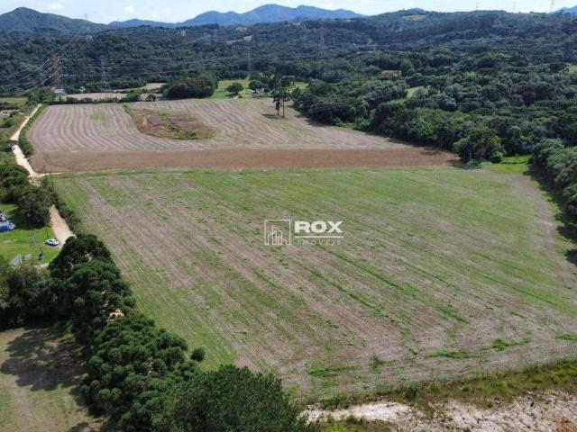 Terreno / Lote para Venda em Campo Largo/PR Salgadinho