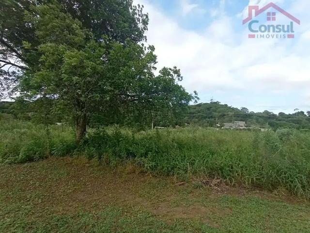 Terreno / Lote para Venda em Campo Largo/PR Salgadinho