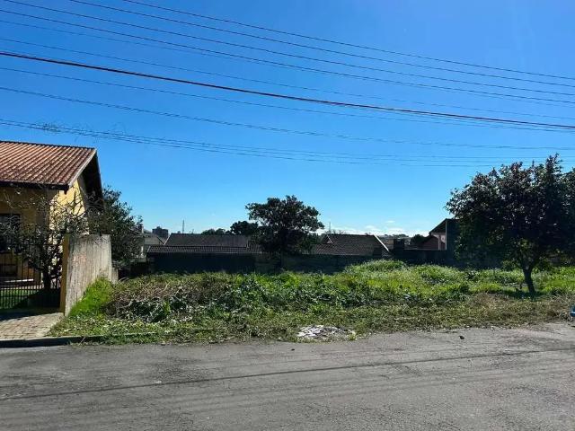 Terreno / Lote para Venda em Campo Largo/PR Vila Bancária
