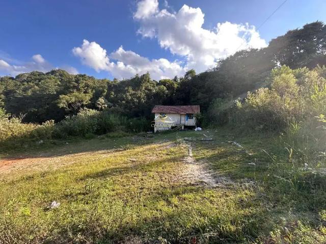 Terreno / Lote para Venda em Campo Largo/PR Vila Bancária