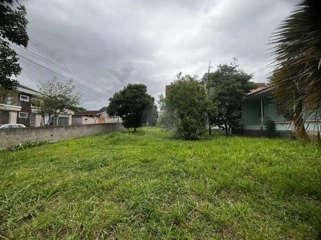 Terreno / Lote para Venda em Campo Largo/PR Vila Bancária
