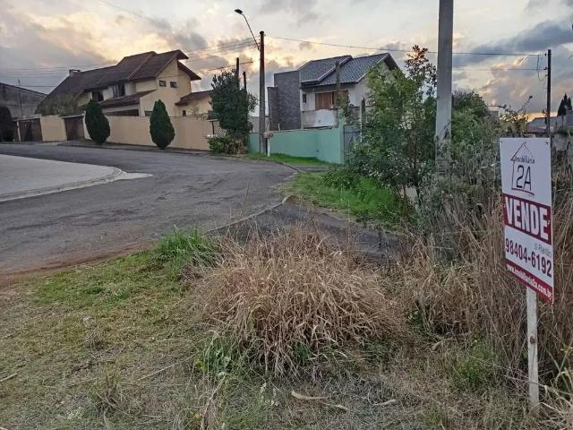 Terreno / Lote para Venda em Campo Largo/PR Vila Bancária