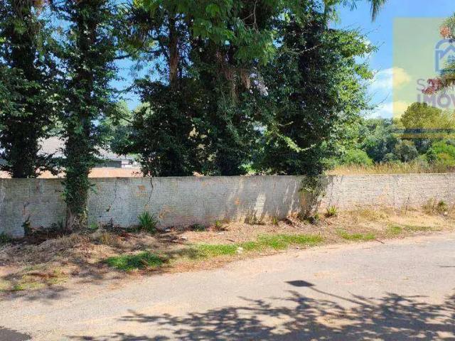 Terreno / Lote para Venda em Campo Largo/PR Vila Bancária