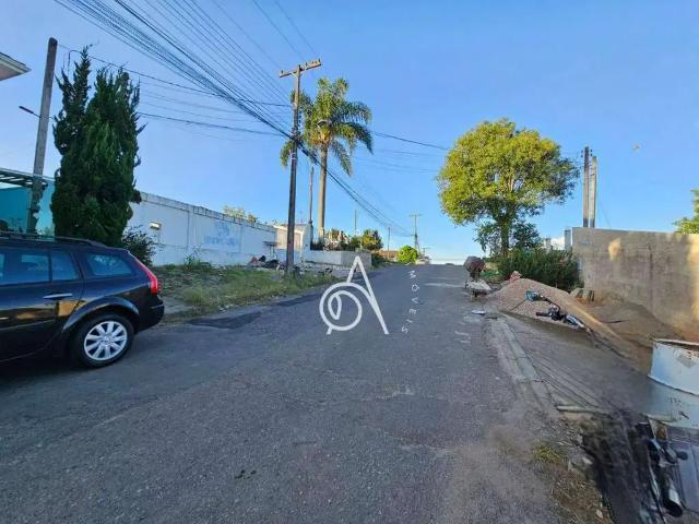 Terreno / Lote para Venda em Campo Largo/PR Vila Gilcy