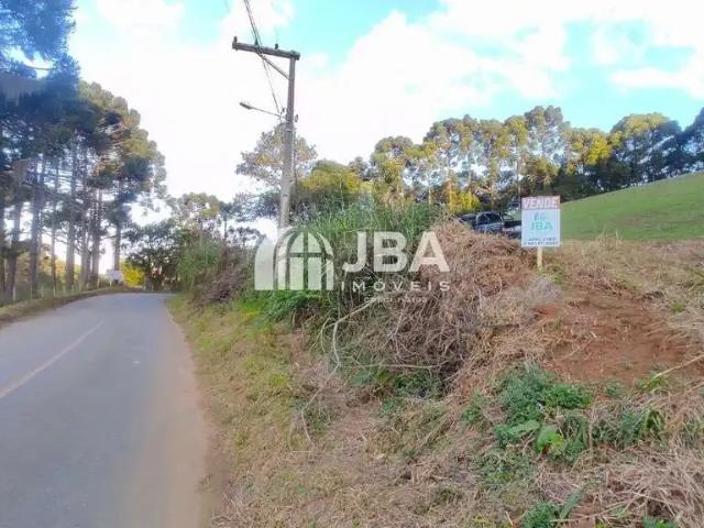 Terreno / Lote para Venda em Campo Largo/PR Vila David Antônio