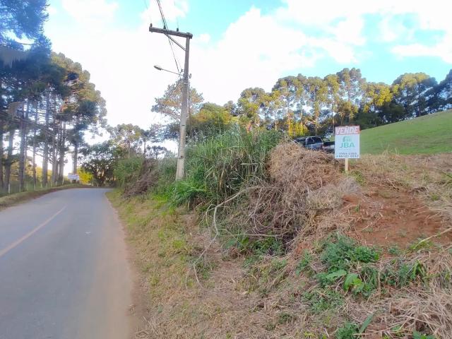 Terreno / Lote para Venda em Campo Largo/PR Vila David Antônio