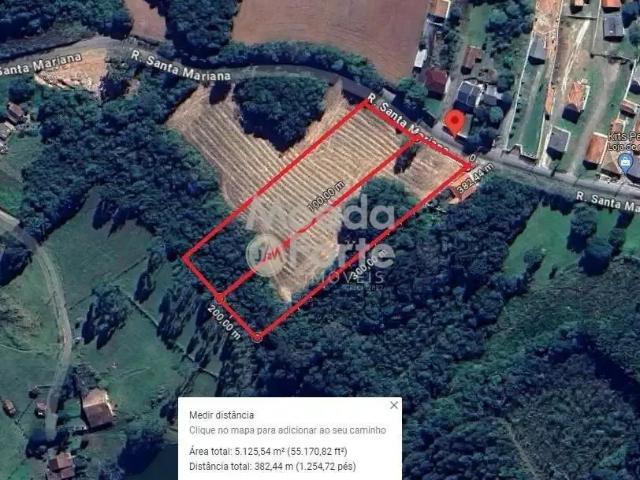 Terreno / Lote para Venda em Campo Largo/PR Vila Delurdes