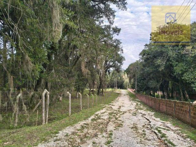Terreno / Lote para Venda em Campo Largo/PR Vila Elizabeth