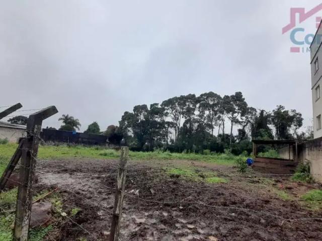 Terreno / Lote para Venda em Campo Largo/PR Vila Ferrari