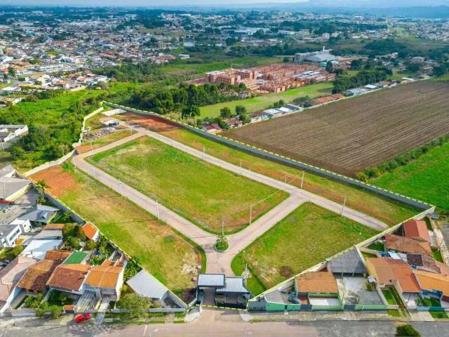 Terreno / Lote para Venda em Campo Largo/PR Vila Ferrari