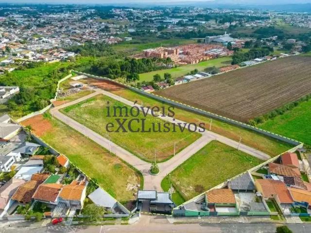 Terreno / Lote para Venda em Campo Largo/PR Vila Ferrari