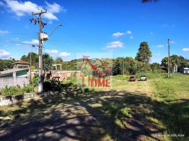 Terreno / Lote para Venda em Campo Largo/PR Vila Itaqui