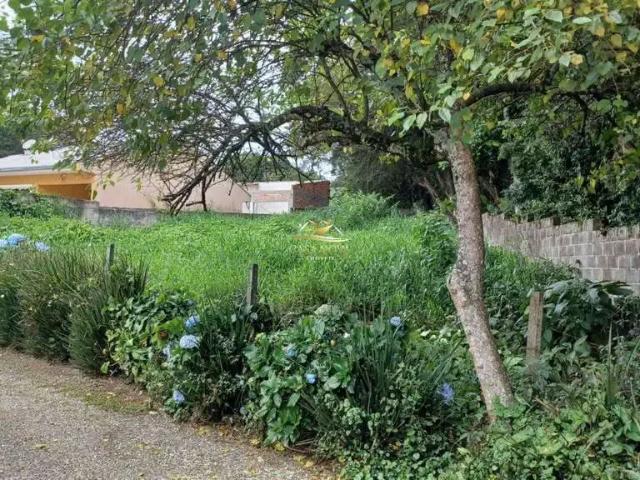 Terreno / Lote para Venda em Campo Largo/PR Vila Otto