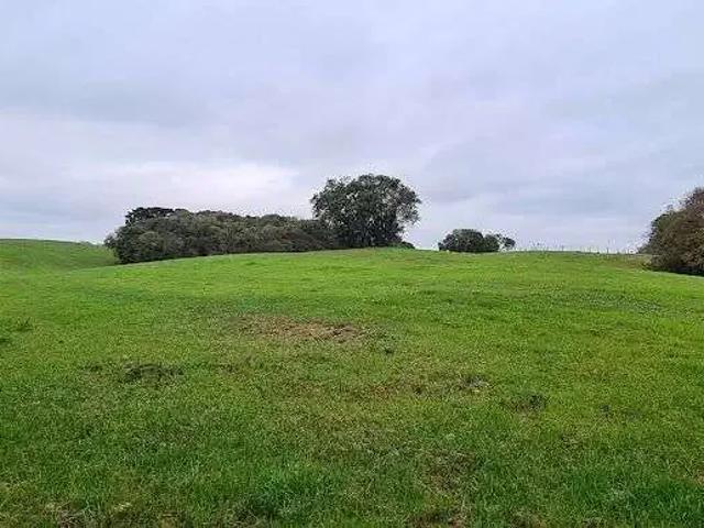 Terreno / Lote para Venda em Campo Largo/PR Vila São Luiz