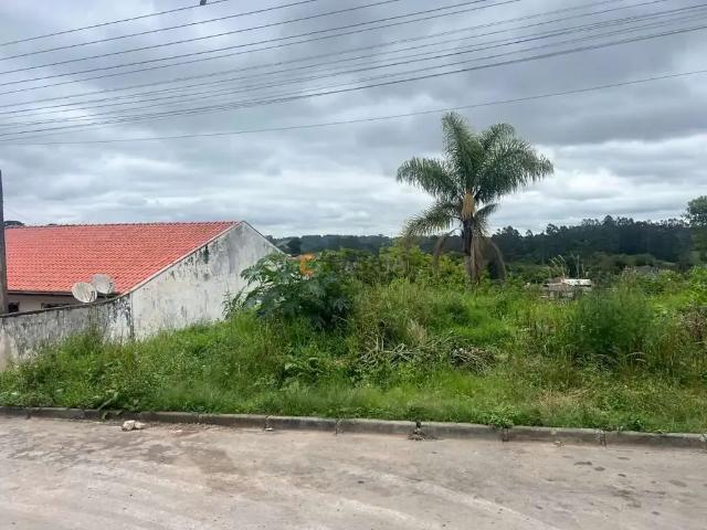Terreno / Lote para Venda em Campo Largo/PR Vila Pompéia