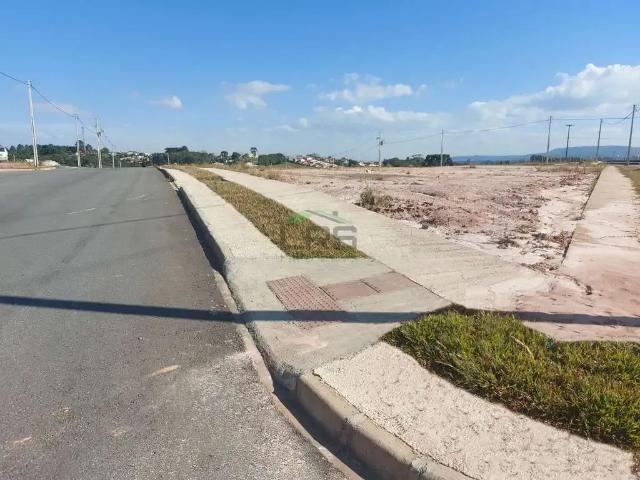 Terreno / Lote para Venda em Campo Largo/PR Vila Rivabem