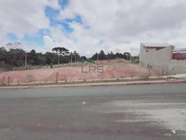 Terreno / Lote para Venda em Campo Largo/PR Vila Rivabem